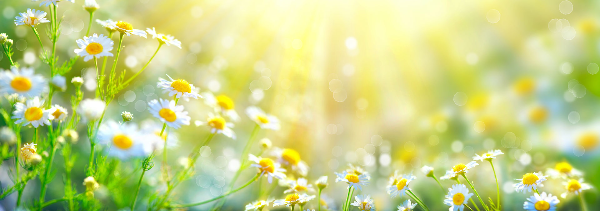 Entira Family Clinics – Choose the Best. Choose Entira Family Clinics.