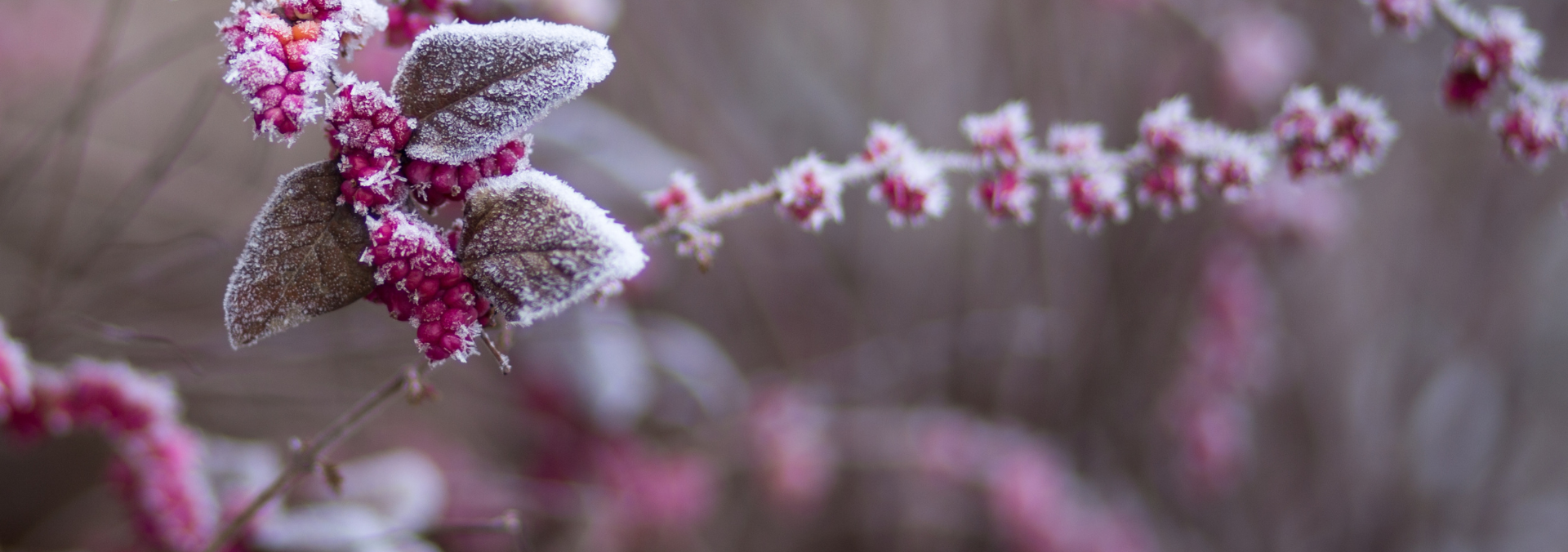 Entira Family Clinics - Home - Entira Family Clinics